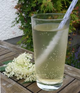 Homemade Elderflower Cordial – The Irish Kitchen