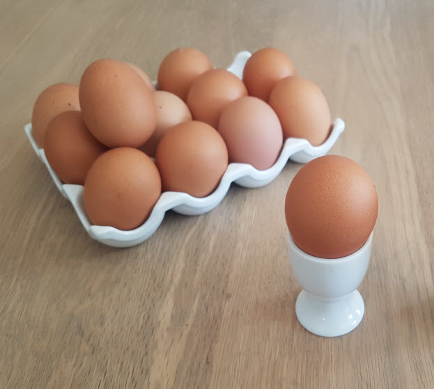 The Best Way to Dye Brown Eggs for Easter – The Irish Kitchen